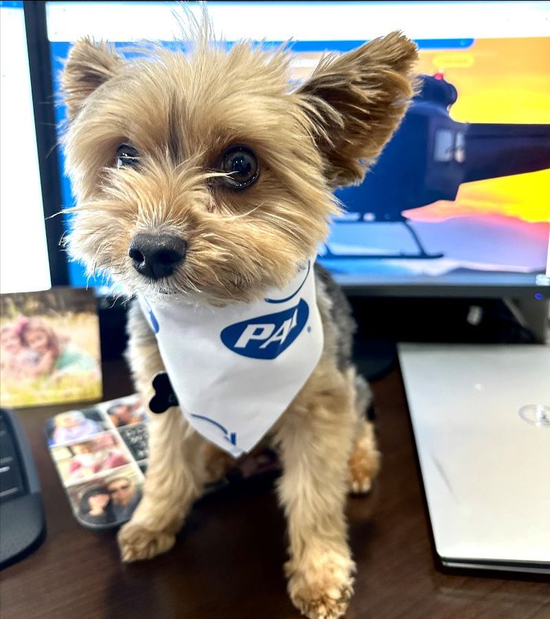 PAG’s Ground Support Crew | PAG